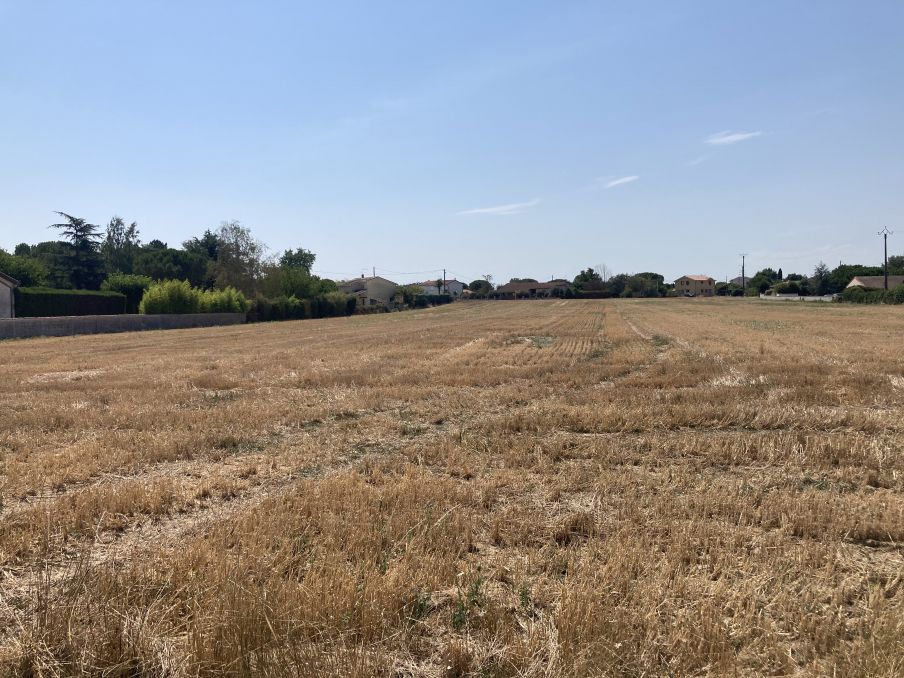 A vendre terrain 503m² Saubens - Constructeur Muret (31)